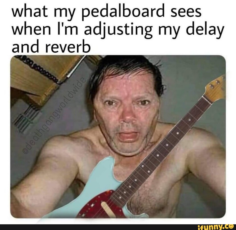 Pedalboard memes. Best Collection of funny Pedalboard pictures on iFunny