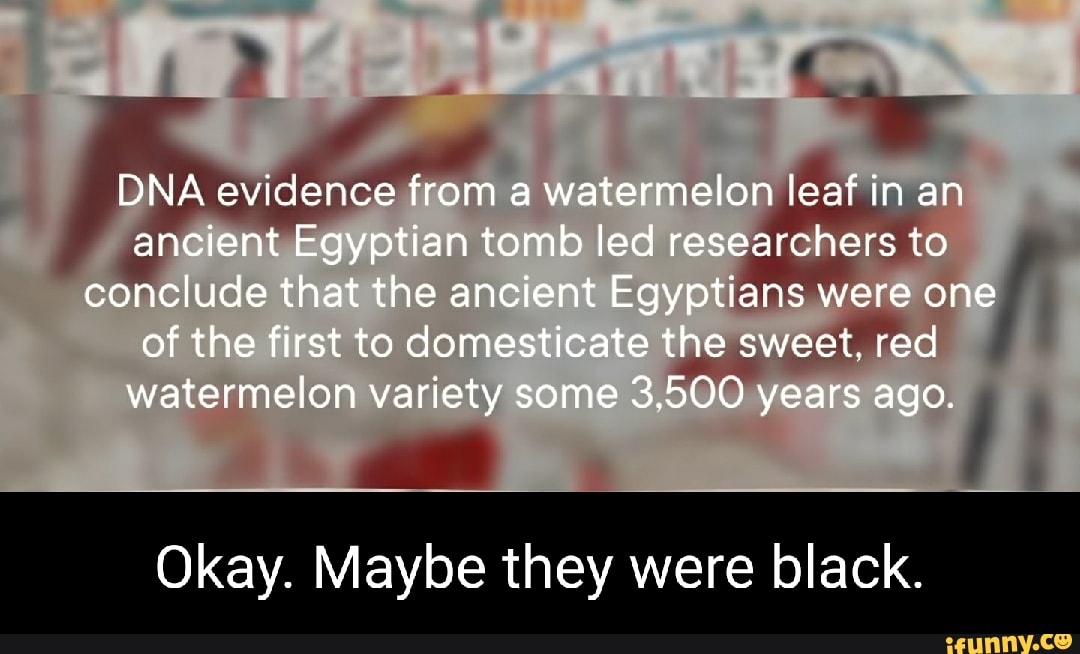 DNA evidence from a watermelon leaf in an ancient Egyptian tomb led ...