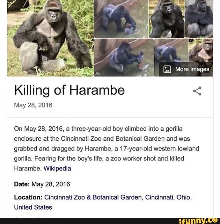 Killing of Harambe May 28, 2016 On May 28, 2016, a three-year-old boy ...