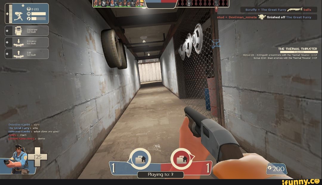 Scruffy + The Great Furry balls toished off the oreet Furry THE THERMAL ...