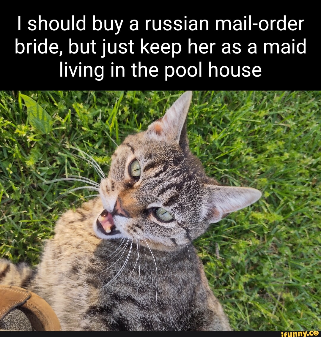 Maid memes. Best Collection of funny Maid pictures on iFunny