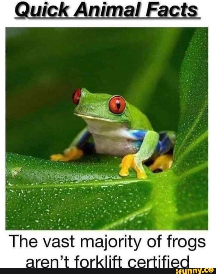 Quick Animal Facts The vast majority frogs aran - iFunny