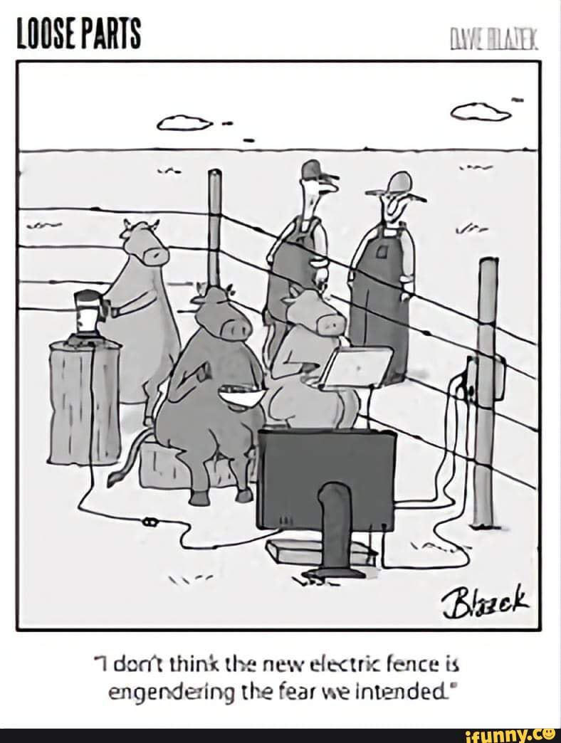 Tdorrt memes. Best Collection of funny Tdorrt pictures on iFunny