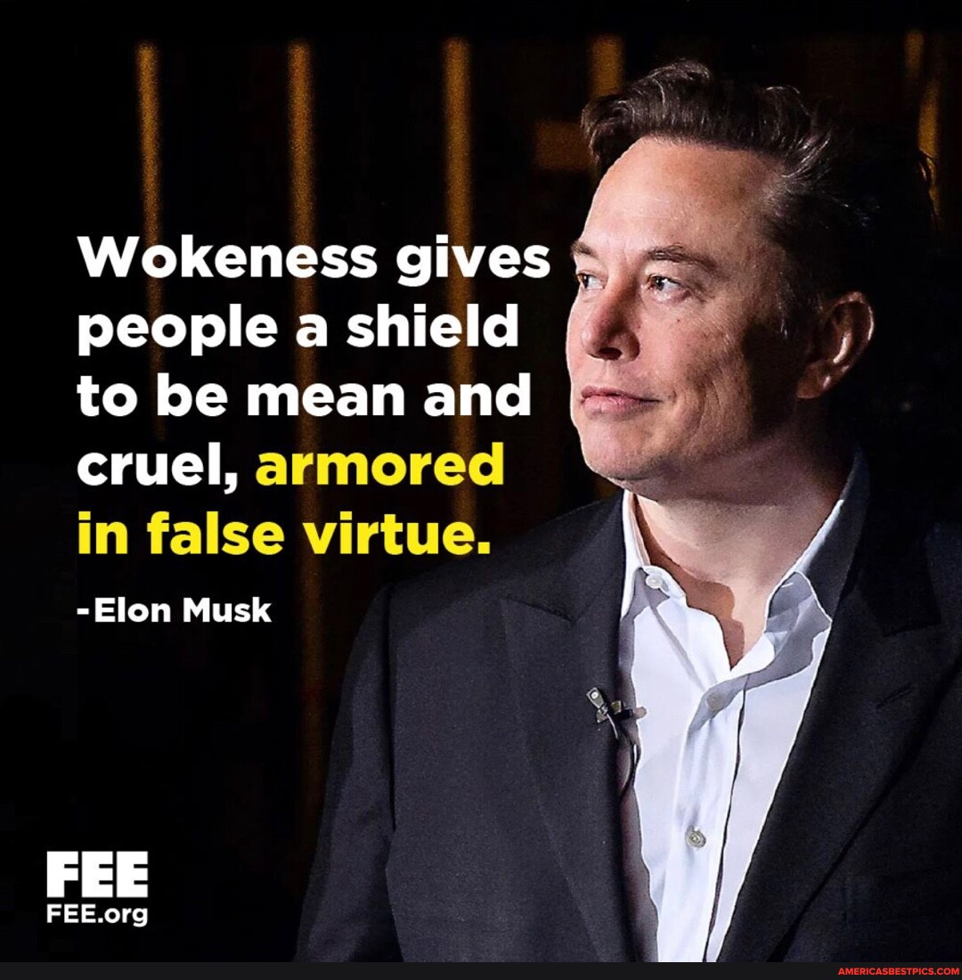 Wokeness gives people a shield to be mean and cruel, armored in false ...