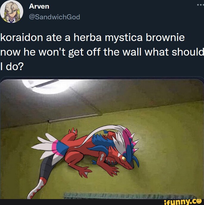 Koraidon memes. Best Collection of funny Koraidon pictures on iFunny