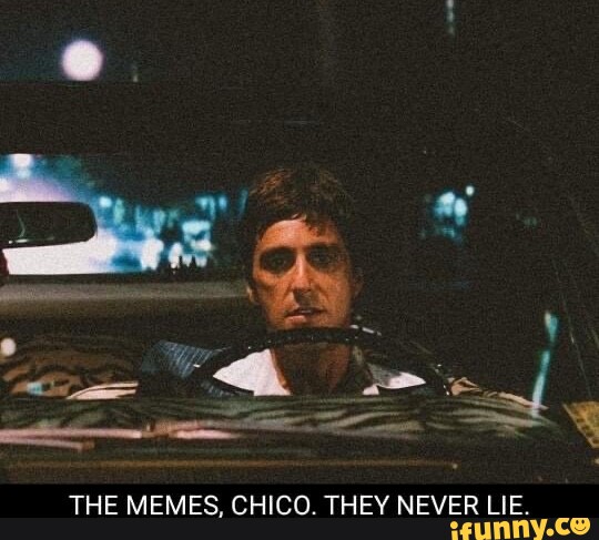 THE MEMES THEY NEVER LiE - iFunny