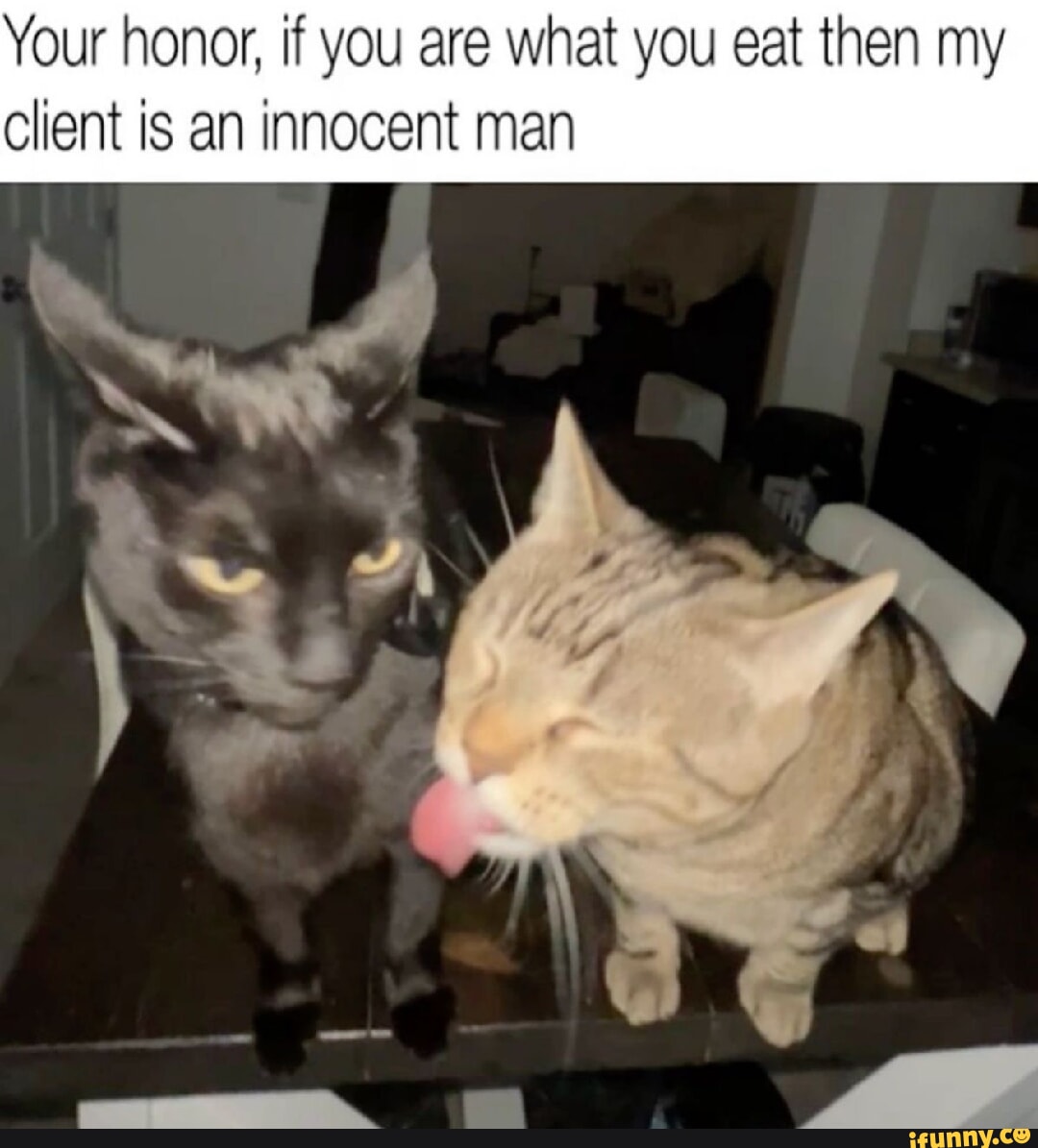 Video memes 8LRjoOv7B by hlep - iFunny