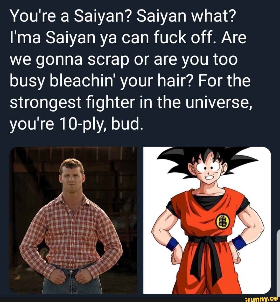 Youre A Saiyan Saiyan What Ima Saiyan Ya Can Fuck Off Are We Gonna Scrap Or Are You Too
