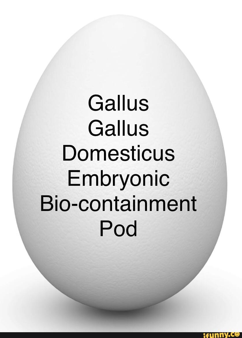 Gallus Gallus Domesticus Embryonic Bio-containment Pod - iFunny