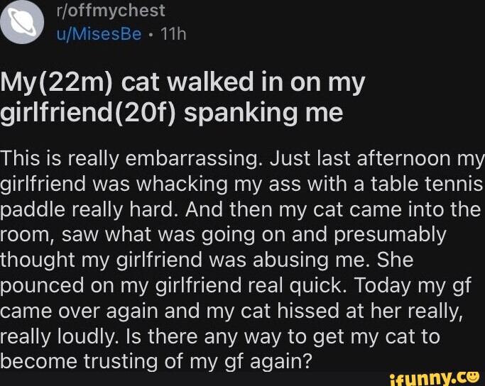 Cat Walked In On My Spanking Me This Is Really Embarrassing Just Last Afternoon My Girlfriend
