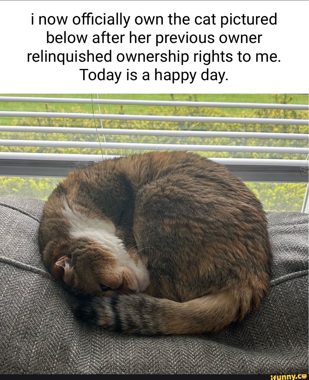 Relinquished memes. Best Collection of funny Relinquished pictures on ...