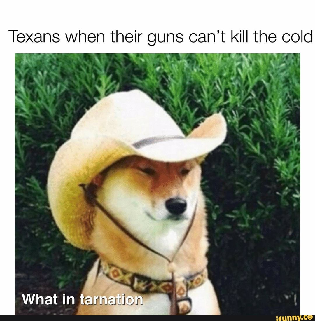 Texans when their guns can't kill the cold What in - iFunny