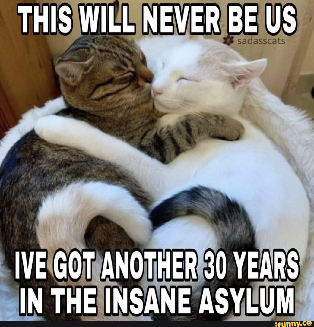 THIS WILL NEVER BE US IVE GOT ANOTHER 30 YEARS IN THE INSANE ASYLUM ...