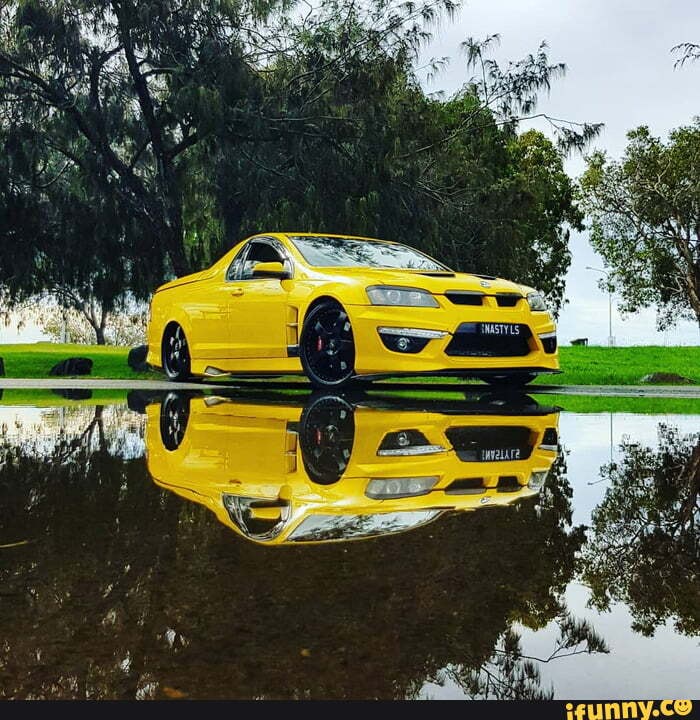 Maloo memes. Best Collection of funny Maloo pictures on iFunny