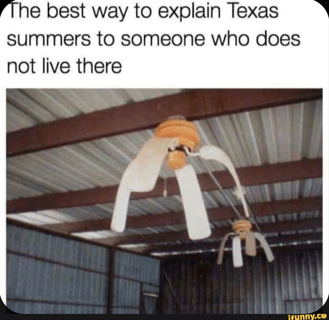 Summers memes. Best Collection of funny Summers pictures on iFunny