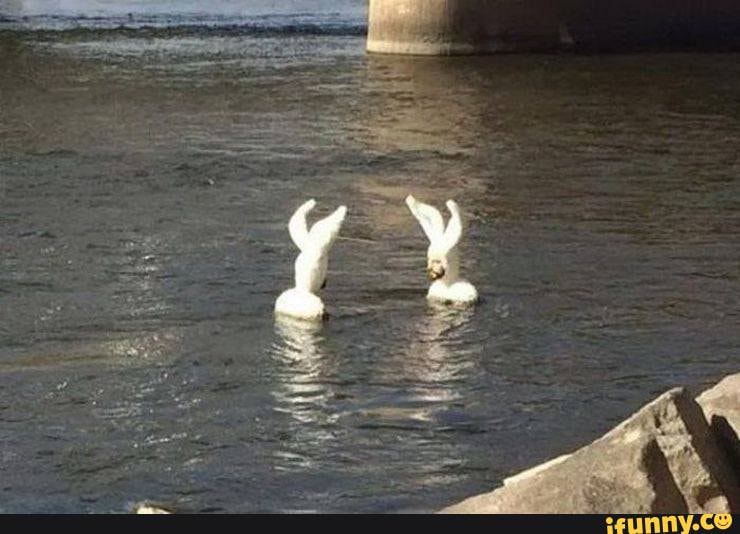Cursed_meeting memes. Best Collection of funny Cursed_meeting pictures ...