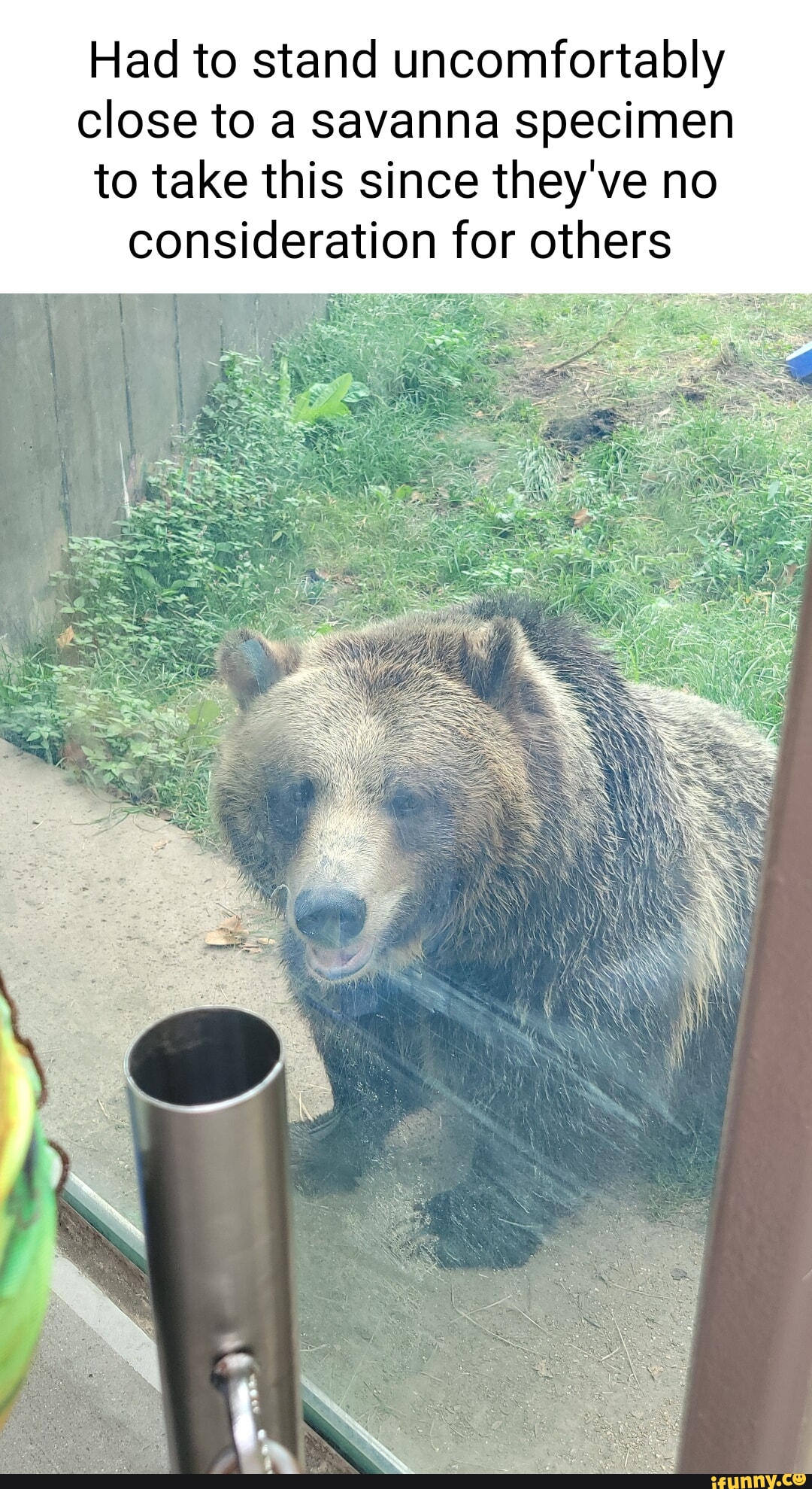 Consideration memes. Best Collection of funny Consideration pictures on ...