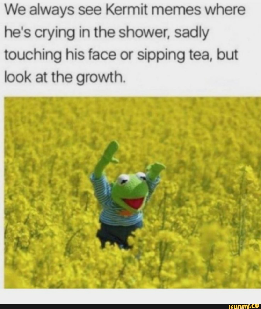 We always see Kermit memes where he's crying in the shower, sadly ...