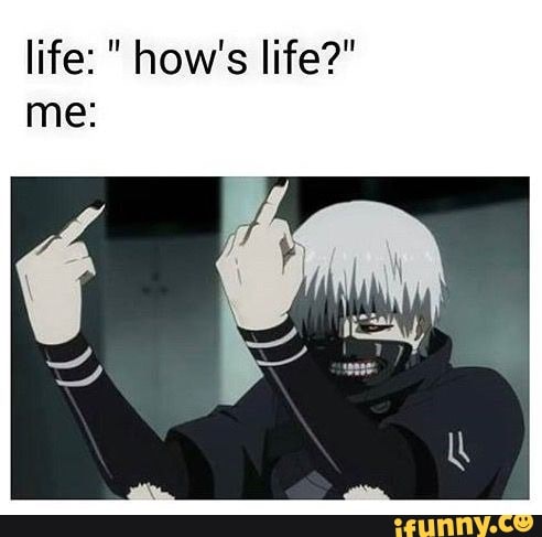 Life: " how's life?" me: - iFunny