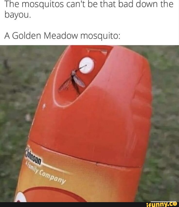 Bugspray memes. Best Collection of funny Bugspray pictures on iFunny