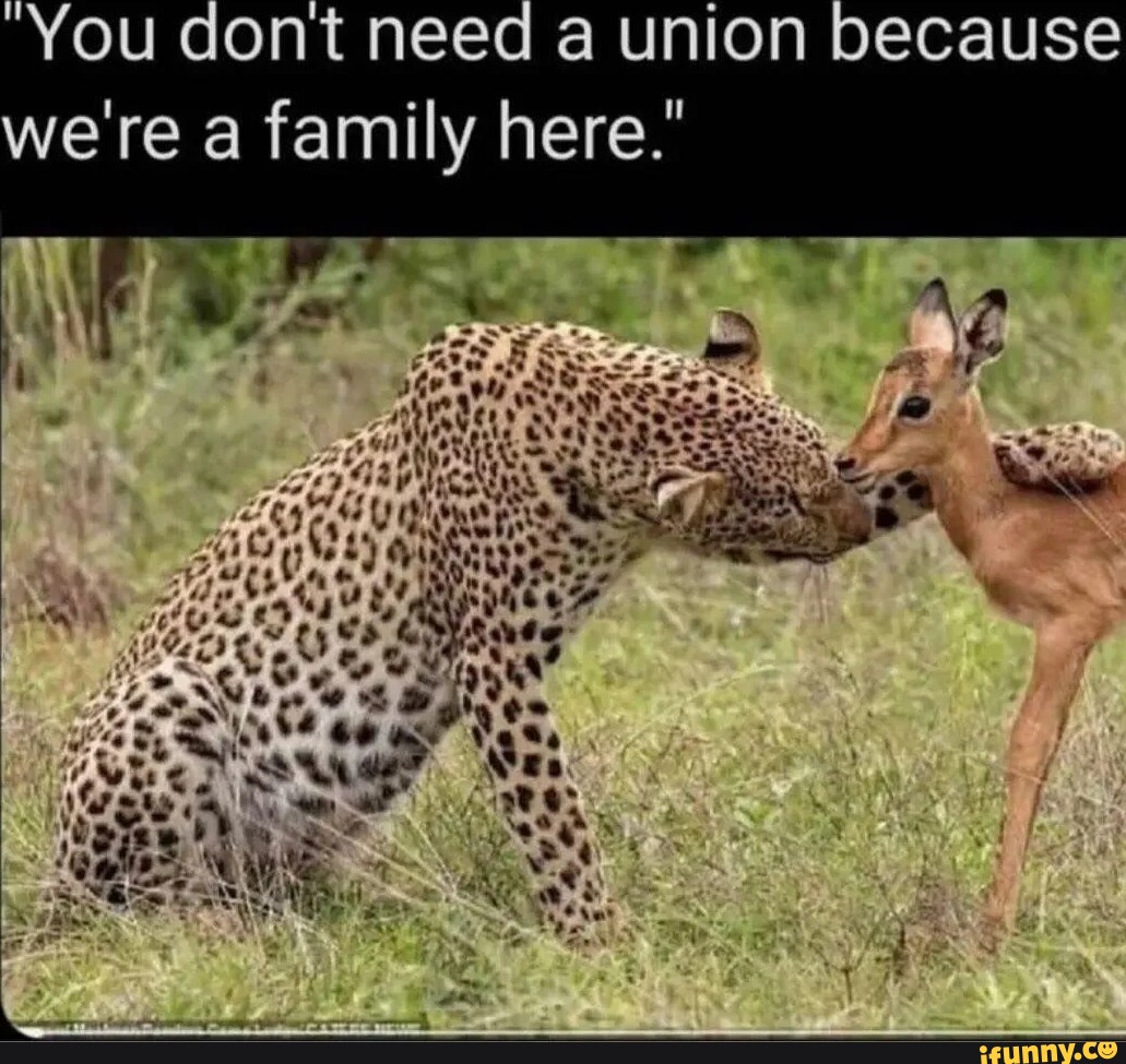You dont need a union because we're a family here." - iFunny