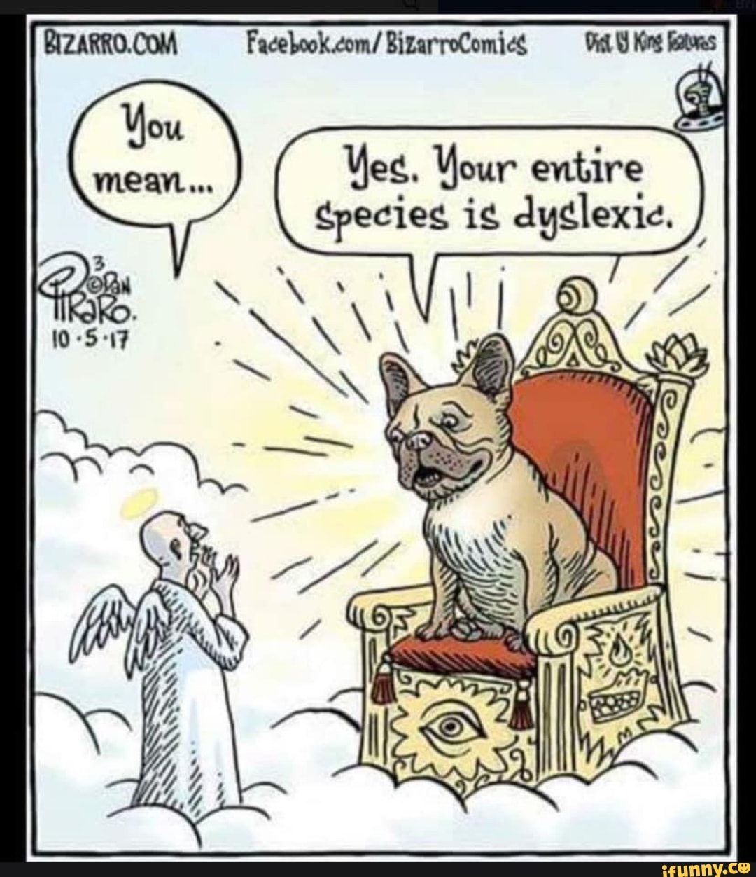 Dyslexie memes. Best Collection of funny Dyslexie pictures on iFunny