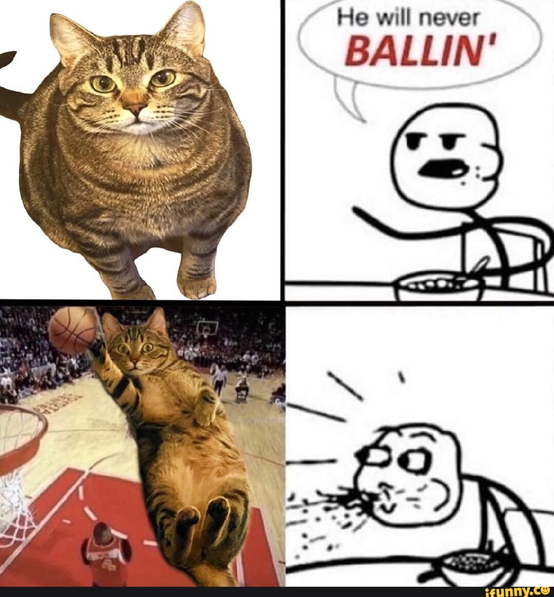 Ballin memes. Best Collection of funny Ballin pictures on iFunny