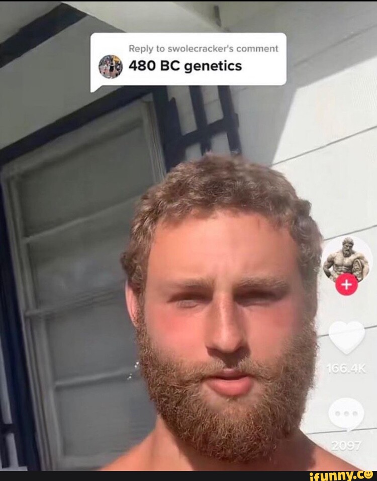 Omment Rep 480 BC genetics - iFunny