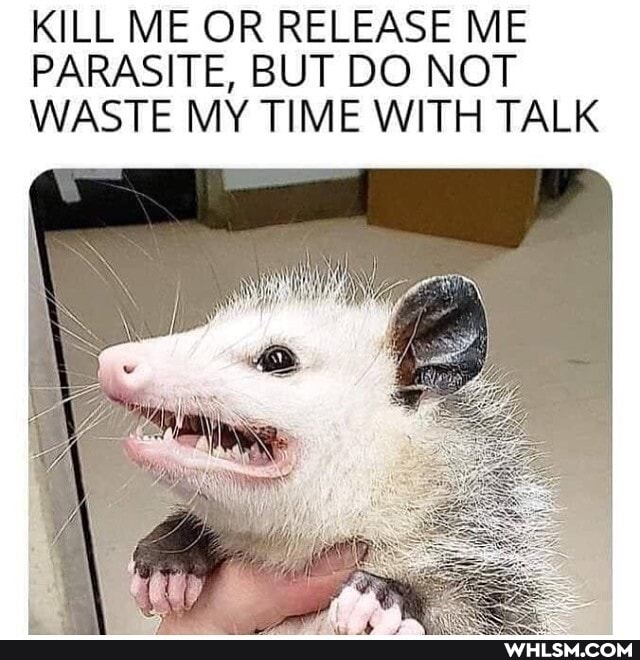 KILL ME OR RELEASE ME PARASITE, BUT DO NOT WASTE MY TIME WITH TALK - WHLSM