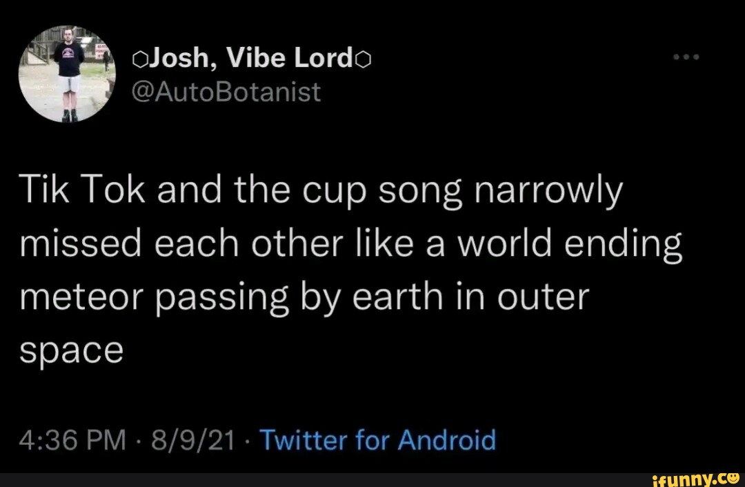 Tik Tok and the cup song narrowly missed each other like a world ending ...