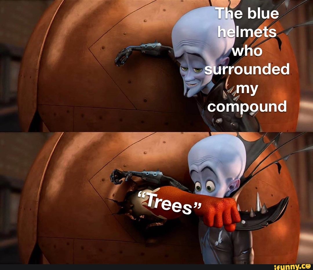 The blue helmets who surrounded my compound "Trees - iFunny