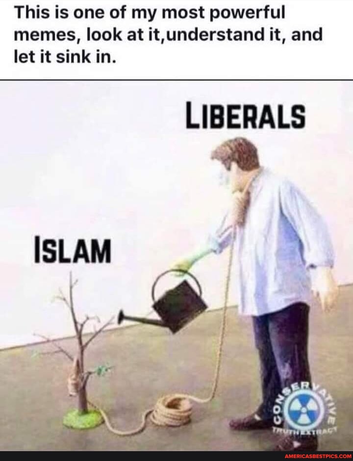 This is one of my most powerful memes, look at it, understand it, and ...