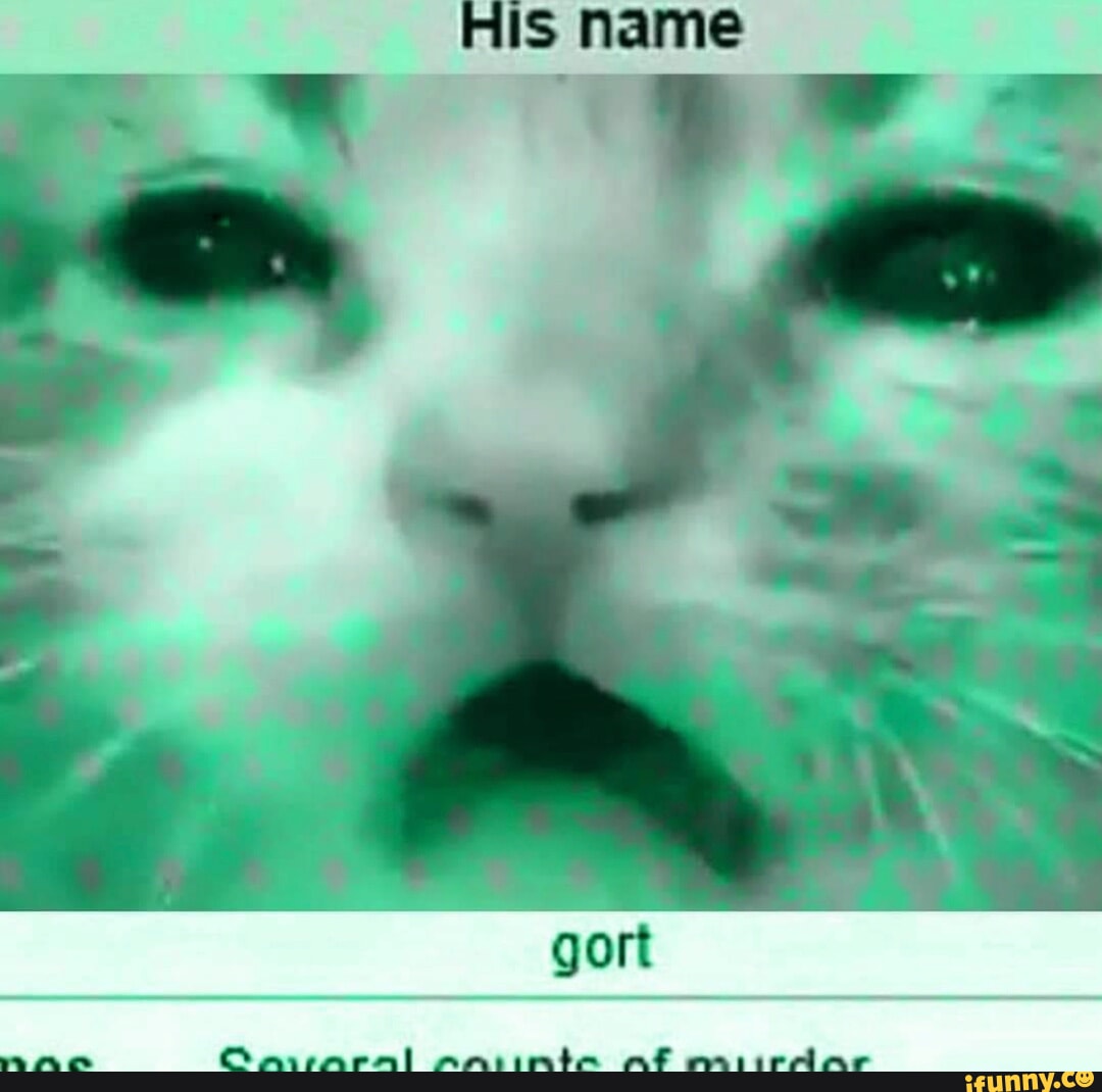 Gort memes. Best Collection of funny Gort pictures on iFunny