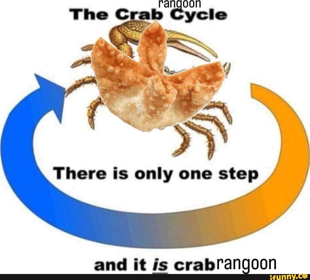 Rangoon memes. Best Collection of funny Rangoon pictures on iFunny