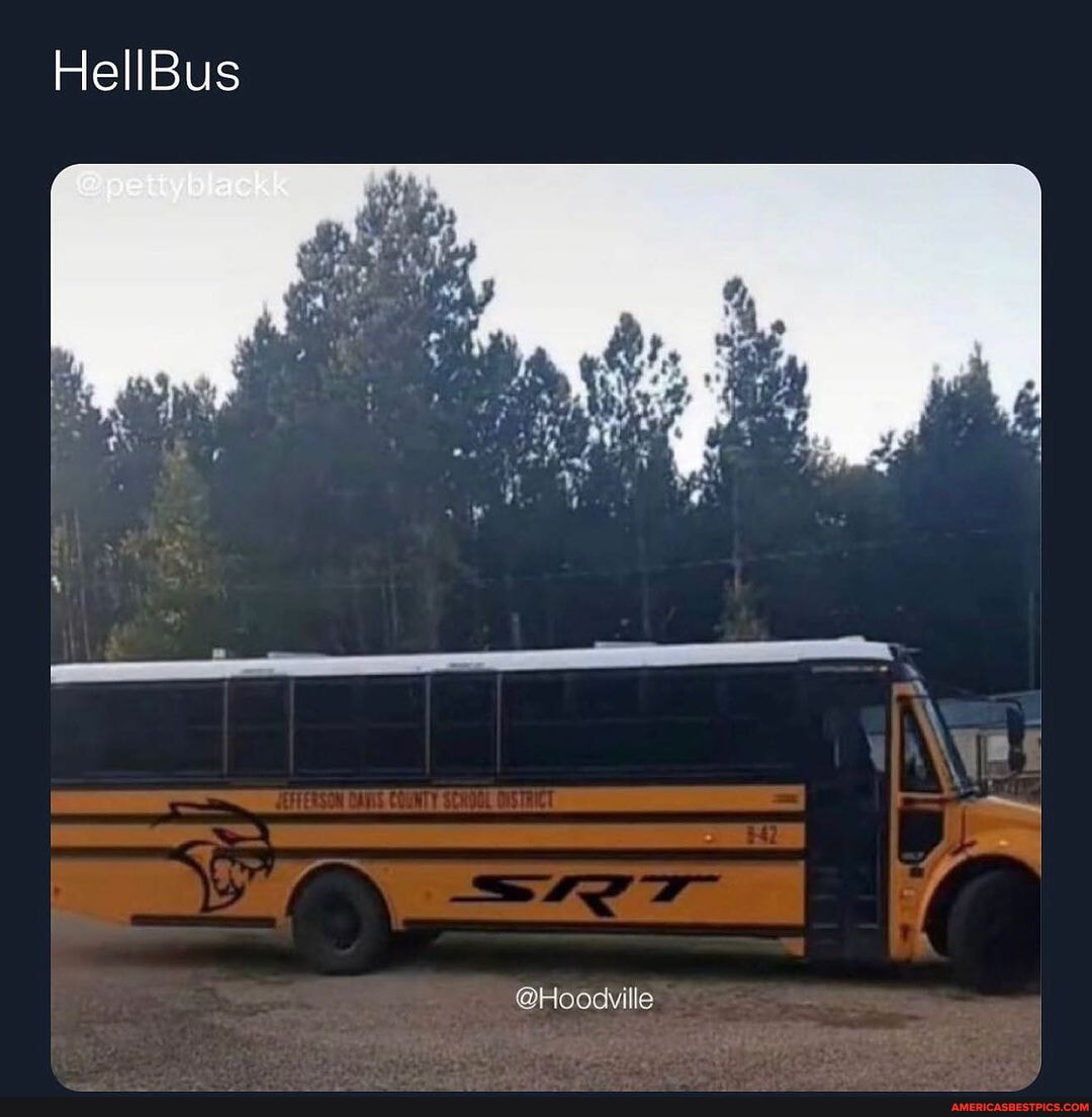 This that bus that takes all the Lil Aidens and Aidenas who children of ...