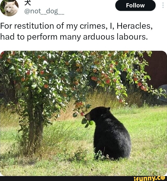 Heracles memes. Best Collection of funny Heracles pictures on iFunny