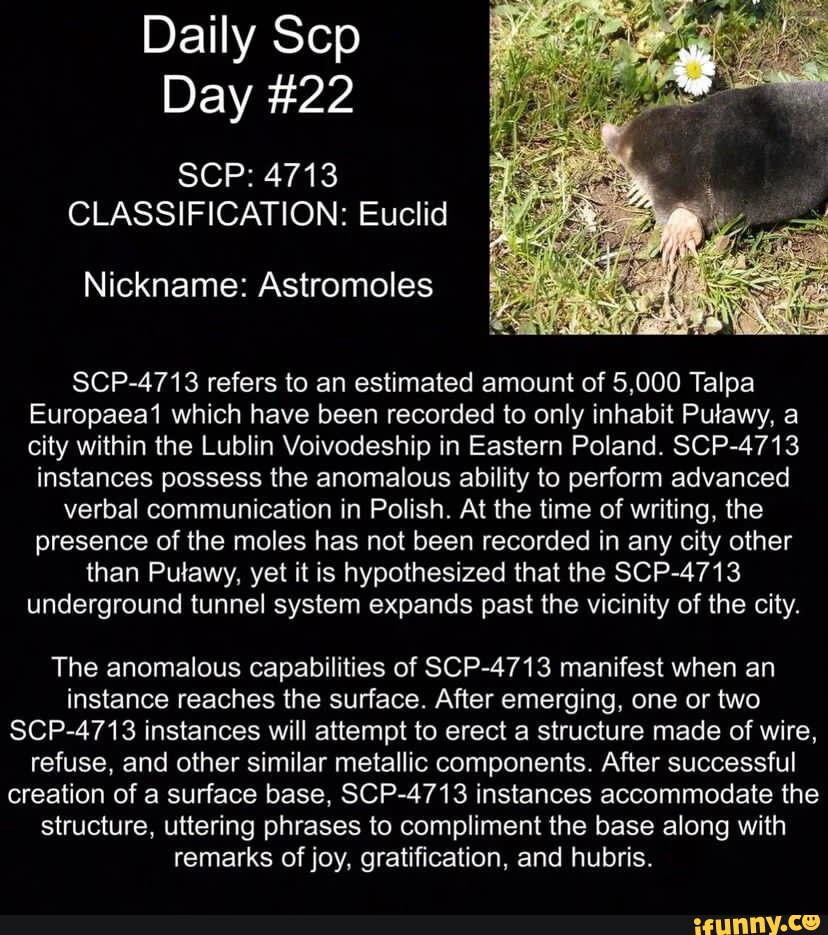 Lublin memes. Best Collection of funny Lublin pictures on iFunny