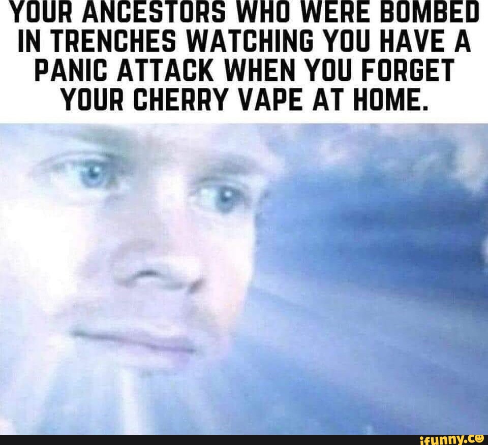 YOUR ANCESTURS WhO WERE BUMBED IN TRENCHES WATCHING YOU HAVE A PANIC ...