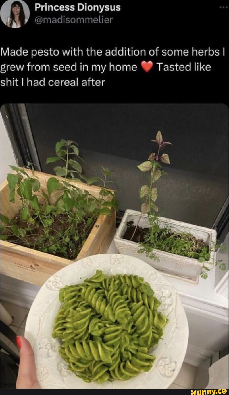 Dionysus memes. Best Collection of funny Dionysus pictures on iFunny