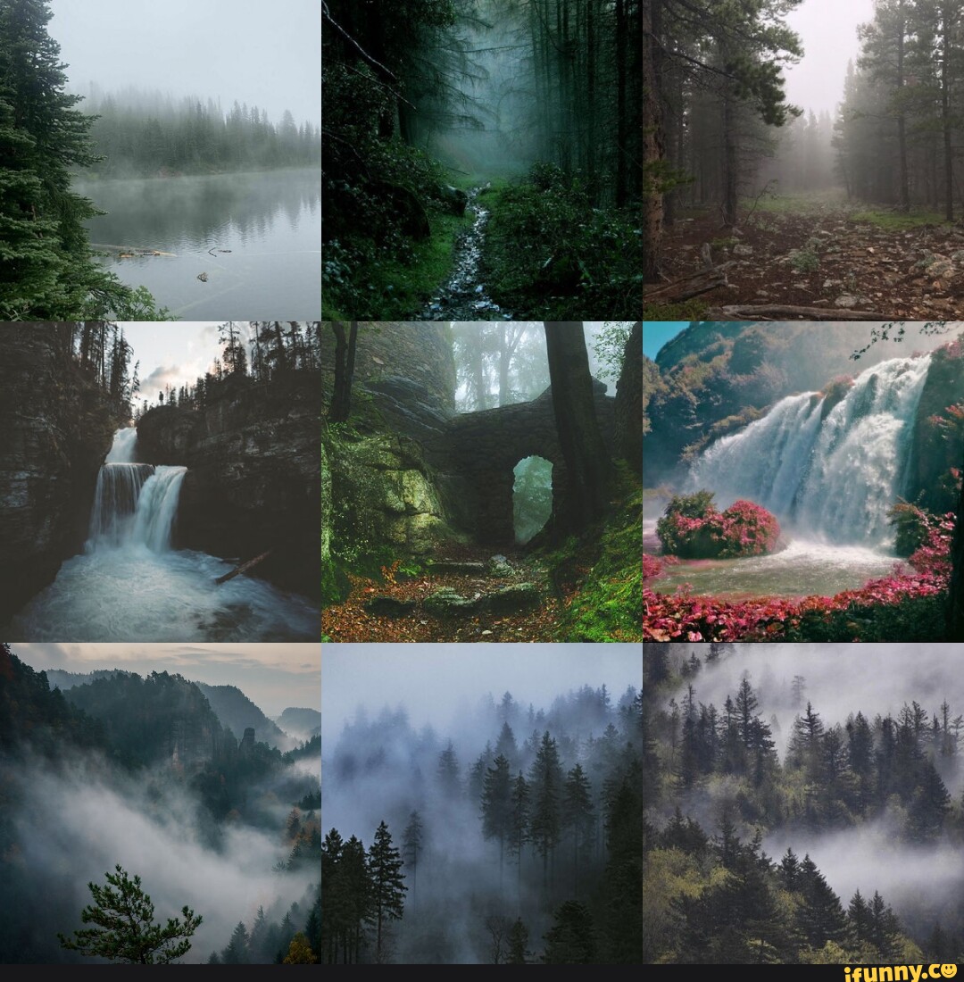 Celticaesthetic memes. Best Collection of funny Celticaesthetic ...