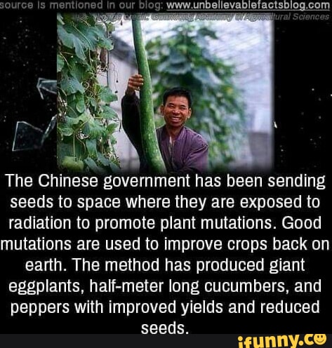 Mutations memes. Best Collection of funny Mutations pictures on iFunny