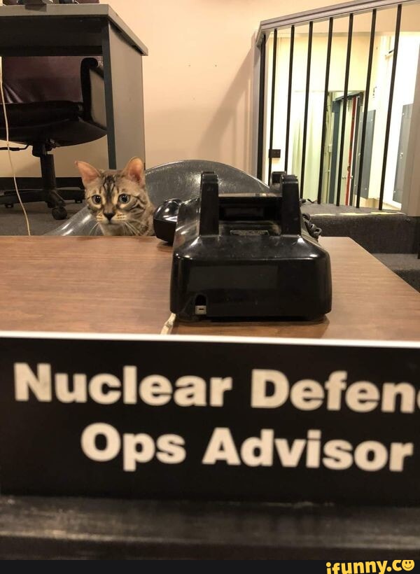 S Mewtwo CP 2337 OH YEAH WOO YEAH AFTER ONLY 9 RAIDS LETS GO - OH YEAH ...