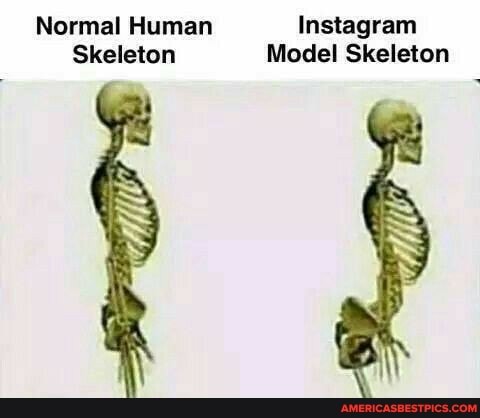 Normal Human Instagram Skeleton Model Skeleton - America’s best pics ...