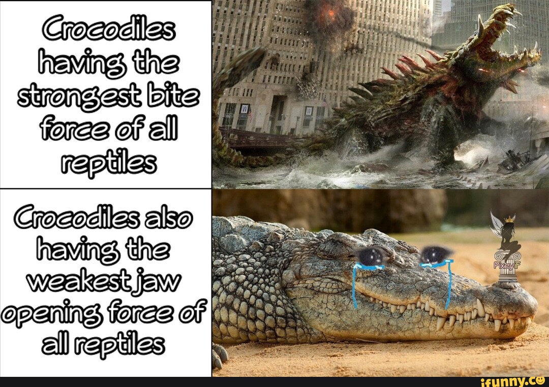 Picture memes FH7Zbeme7 by Estellaa: 327 comments - seo.title