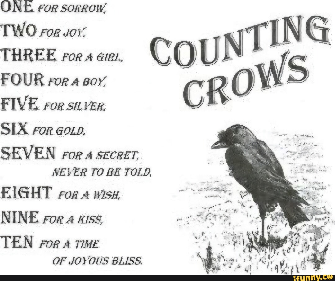 Counting Crows Hate Memes Profile For Barry Crocker Music Services