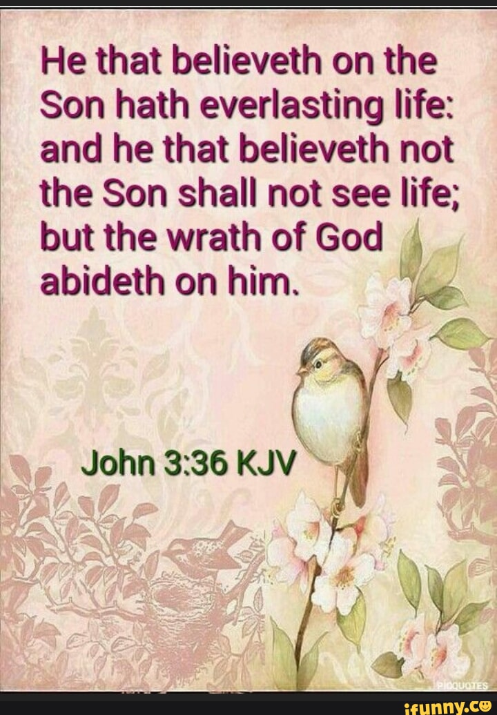 He that believeth on the Son hath everlasting life: and he that ...