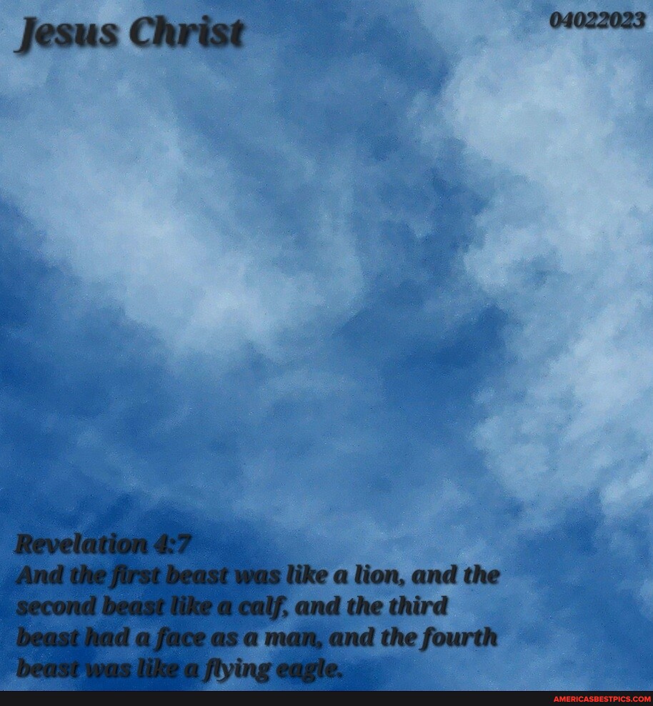 Revelation And the first beast was like a lion, and the second beast ...