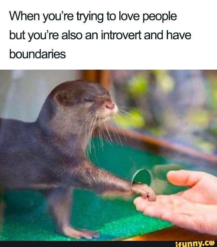 Boundaries memes. Best Collection of funny Boundaries pictures on iFunny