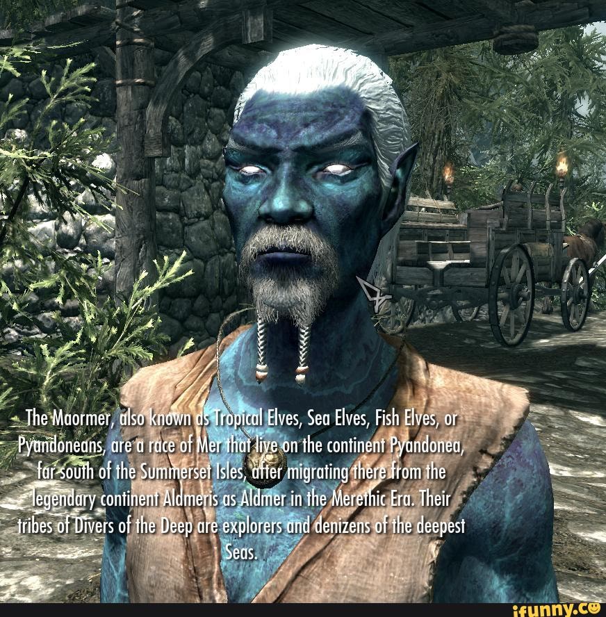 4 The Maormer, afso knowa Tropical Elves, Sea Elves, Fish Elves, or ...