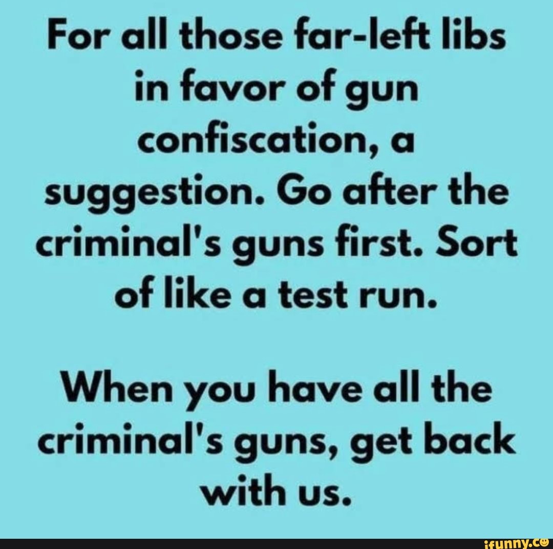 For all those far-left libs in favor of gun confiscation, a suggestion ...